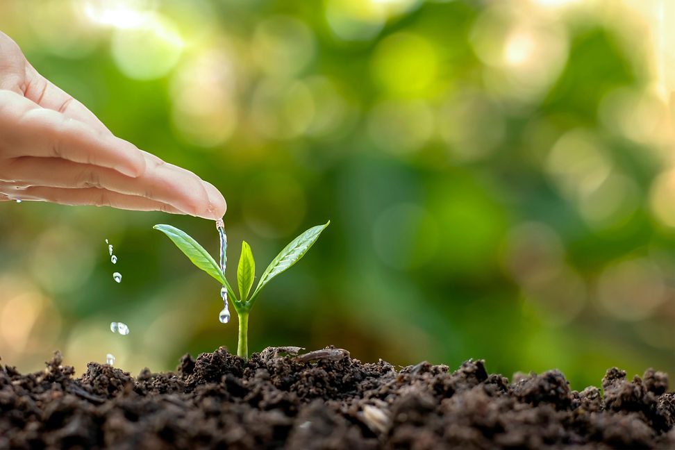 Sustainability and stewardship | LGT