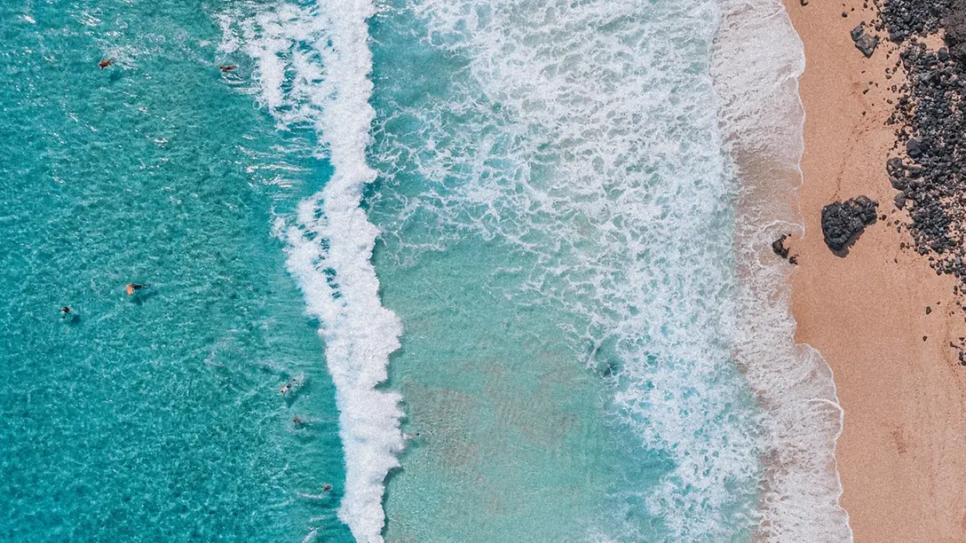 Leaning into Equities Amid Trade Tensions | LGT Wealth Management Australia